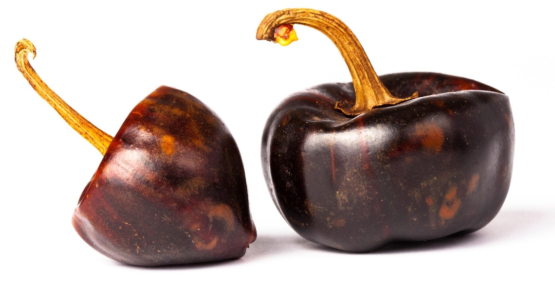 Cascabel Rattle Chili Little Bell Heirloom Mirasol Pepper Premium Seed ...