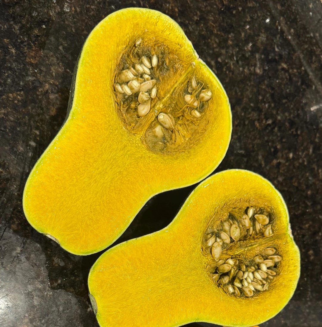 Green Ayote Guatemalan Butternut Winter Squash Premium Seed Packet - Etsy