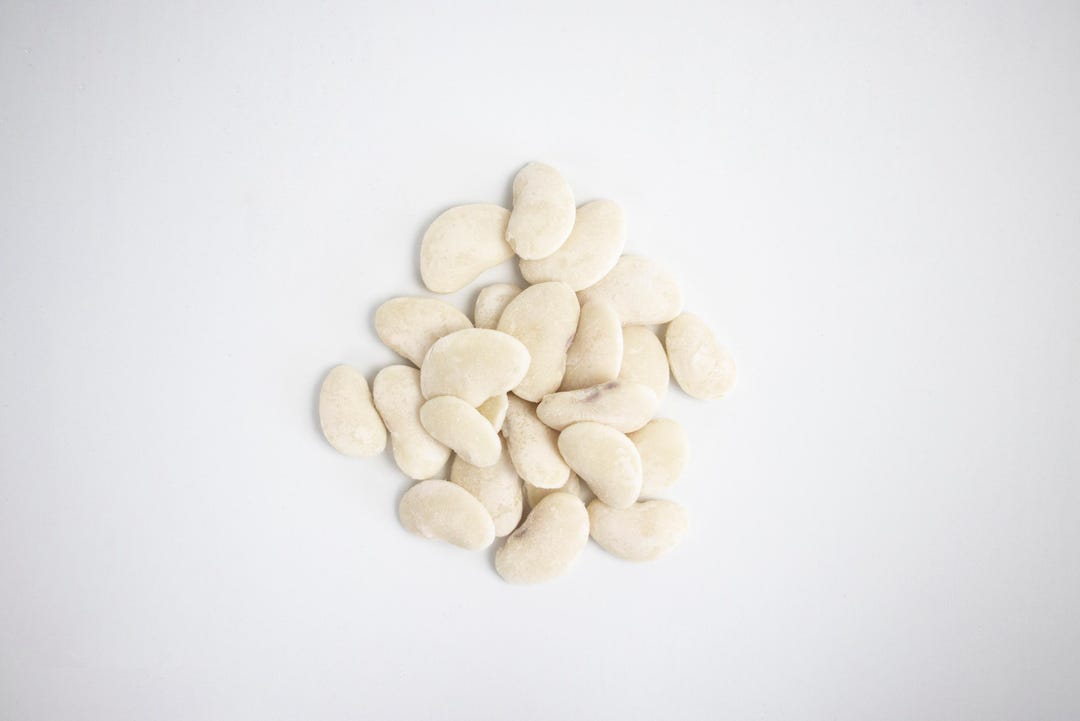 White Garrofón Butter Bean Valencian Paella Vining Heirloom Seed Packet ...