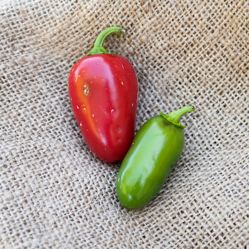 Purple Jalapeno Heirloom Pepper Premium Seed Packet - Etsy