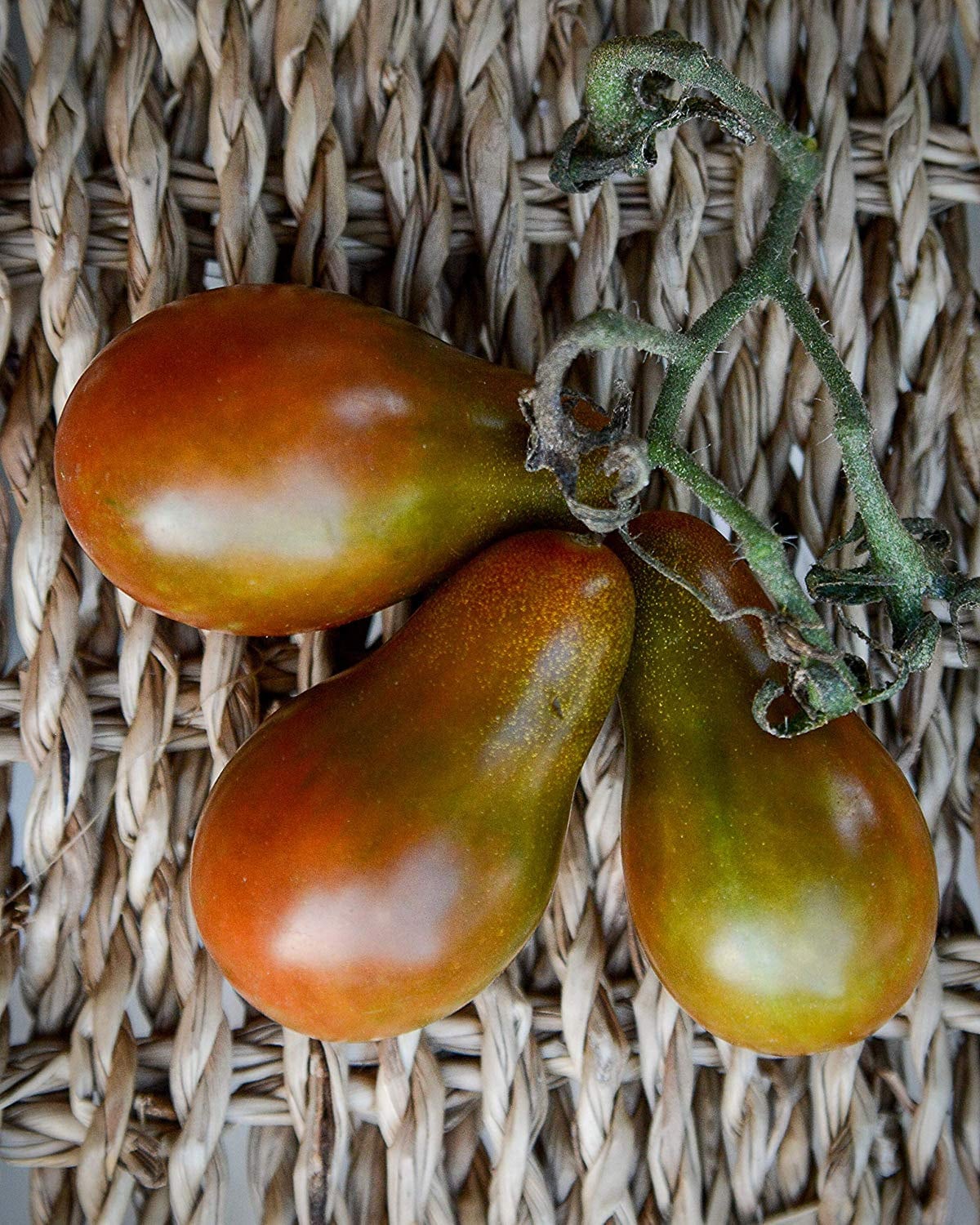 Chocolate Pear Heirloom Tomato Premium Seed Packet - Etsy