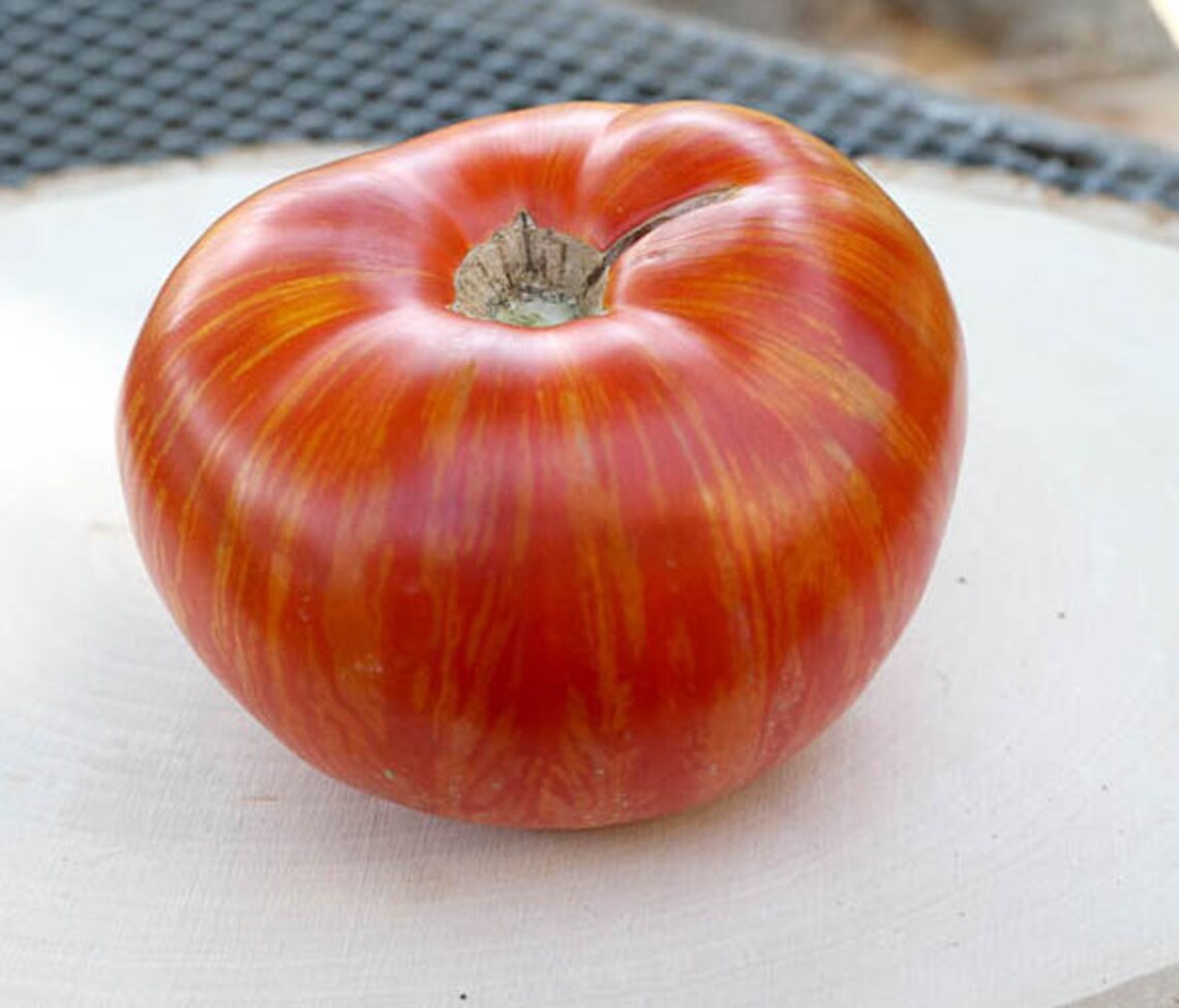 Solar Flare Heirloom Tomato Premium Seed Packet - Etsy