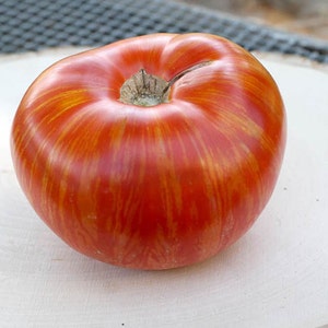 Solar Flare Heirloom Tomato Premium Seed Packet - Etsy