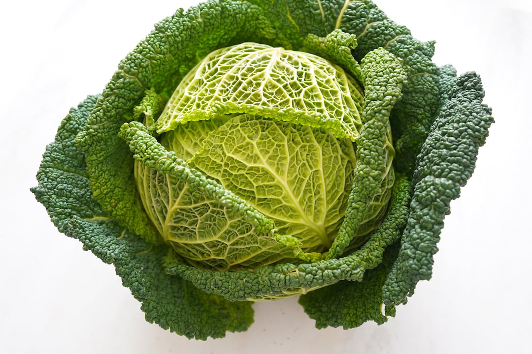 Savoy Crinkly Cabbage Heirloom Premium Seed Packet - Etsy