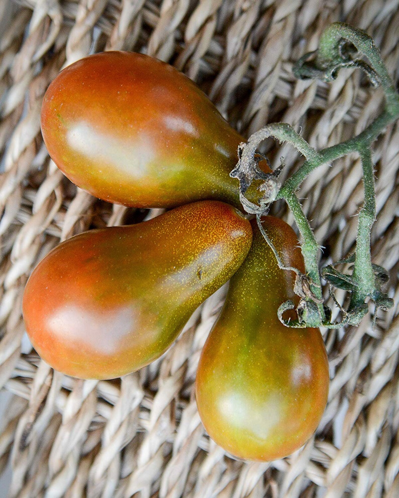 Chocolate Pear Heirloom Tomato Premium Seed Packet | Etsy