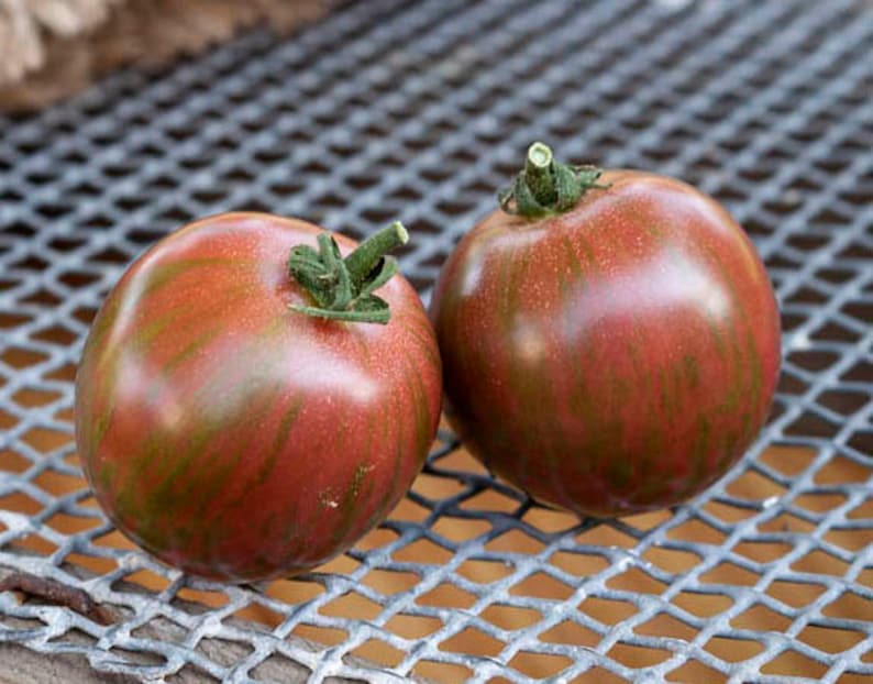 Purple Bumblebee Heirloom Tomato Premium Seed Packet - Etsy