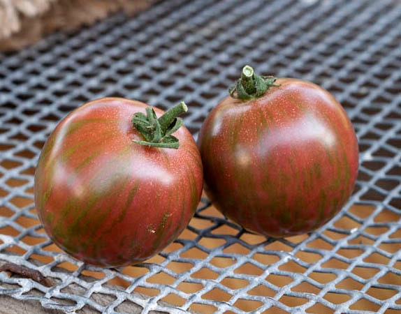 Purple Bumblebee Heirloom Tomato Premium Seed Packet | Etsy