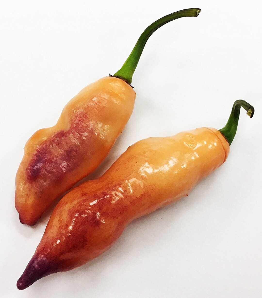 Pink Tiger Pepper Premium Seed Packet - Etsy