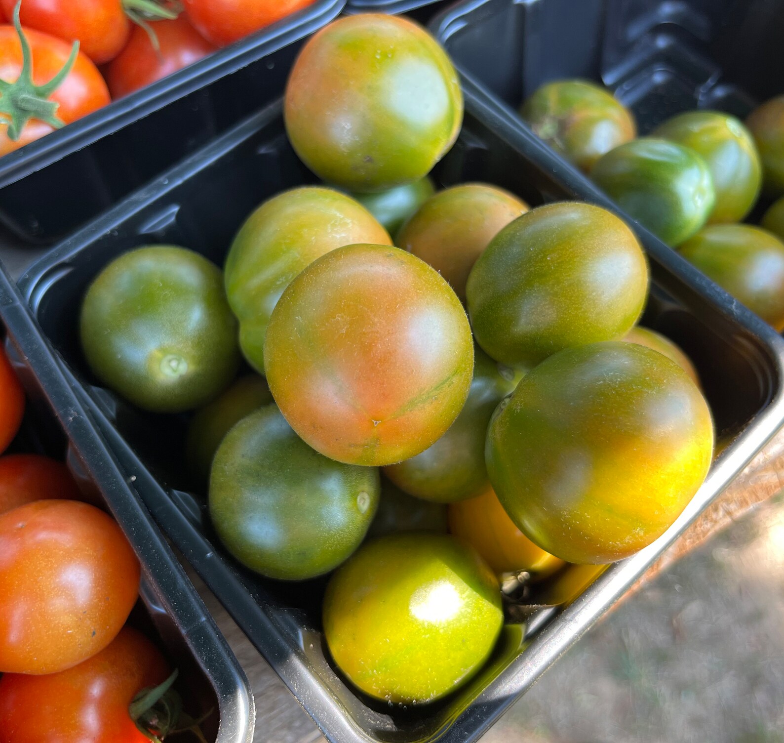Evil Olive Green Grape Tomato Premium Seed Packet - Etsy