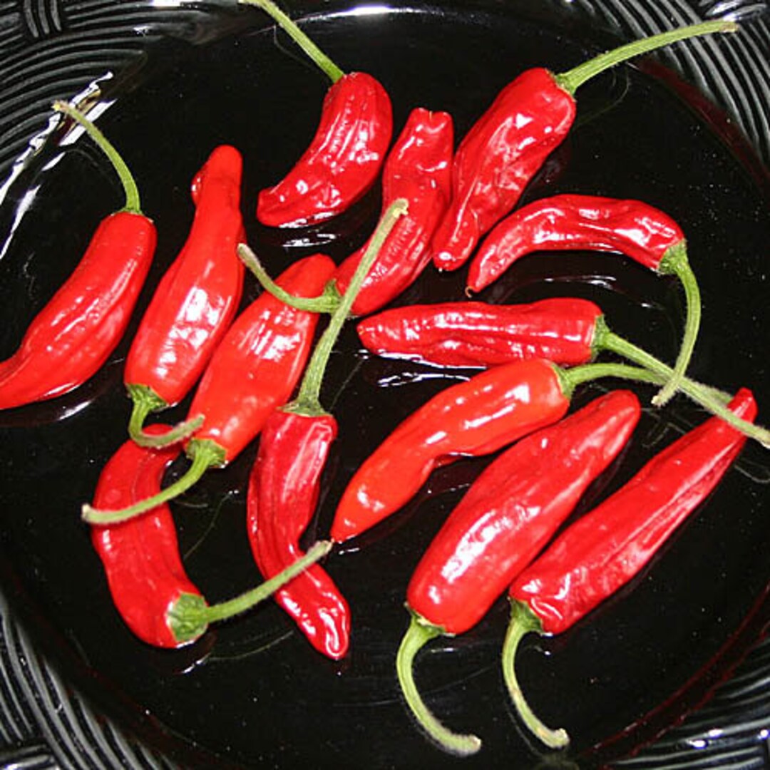 Onza Roja Heirloom Pepper Premium Seed Packet - Etsy