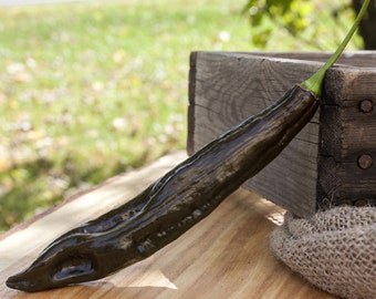 Aji Colorado Peruvian Heirloom Pepper Premium Seed Packet - Etsy