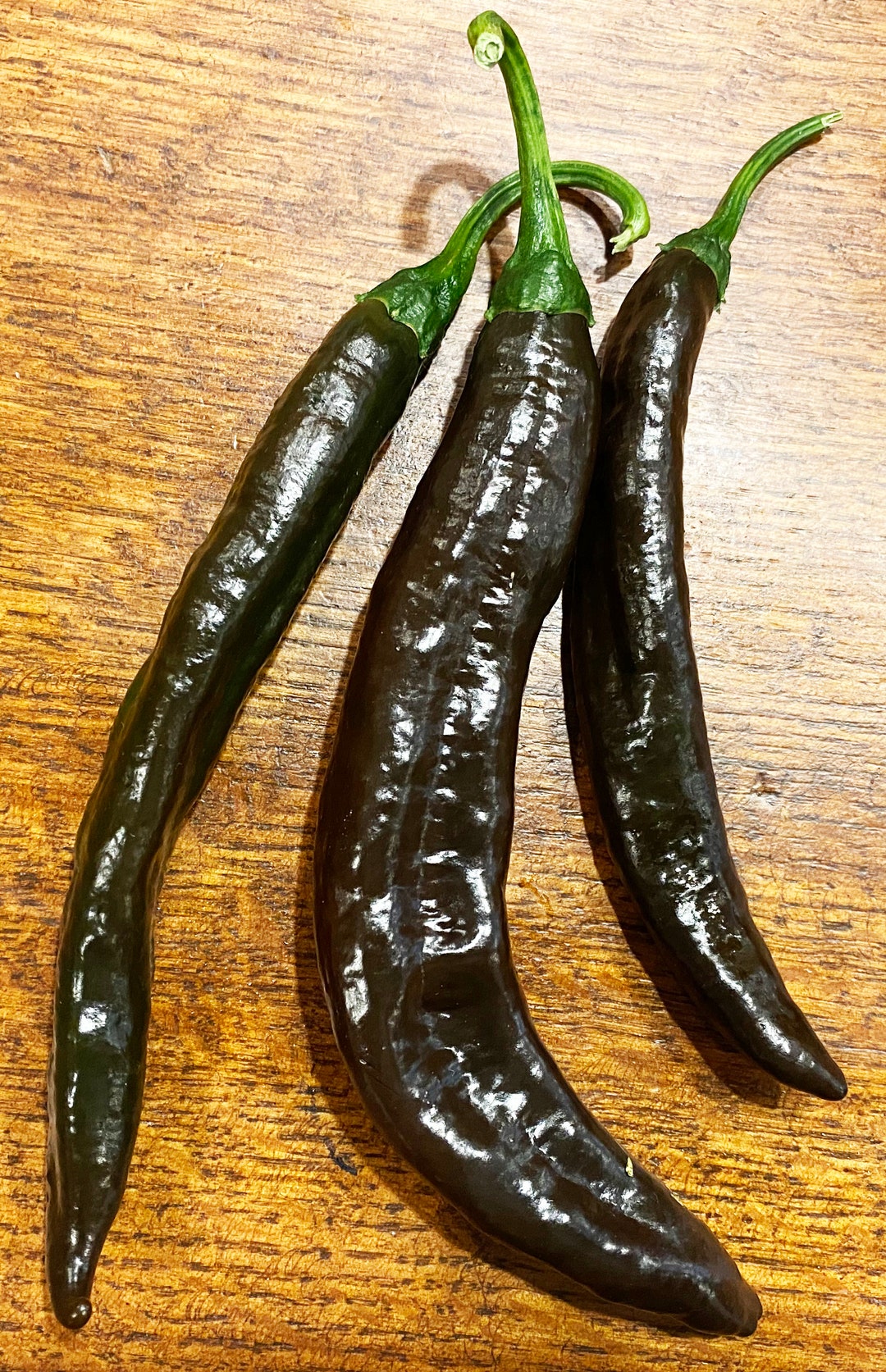 Pasilla Apaseo "little Raisin" Chile Oaxacan Chilaca Chili Heirloom ...