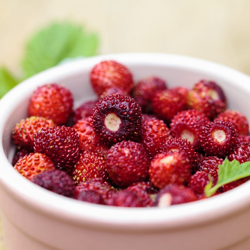 Strawberry Rug - Etsy