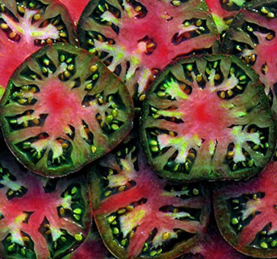 Black Sea Man Heirloom Tomato Premium Seed Packet - Etsy