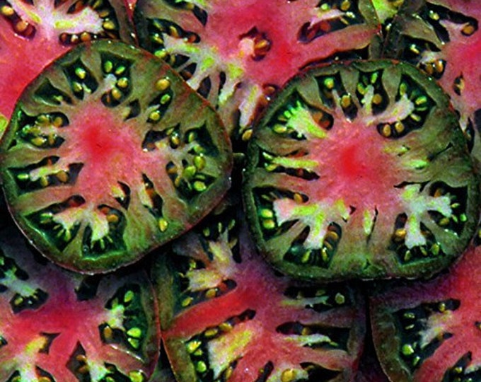 Striped speckled Roman Heirloom Tomato Premium Seed Packet - Etsy