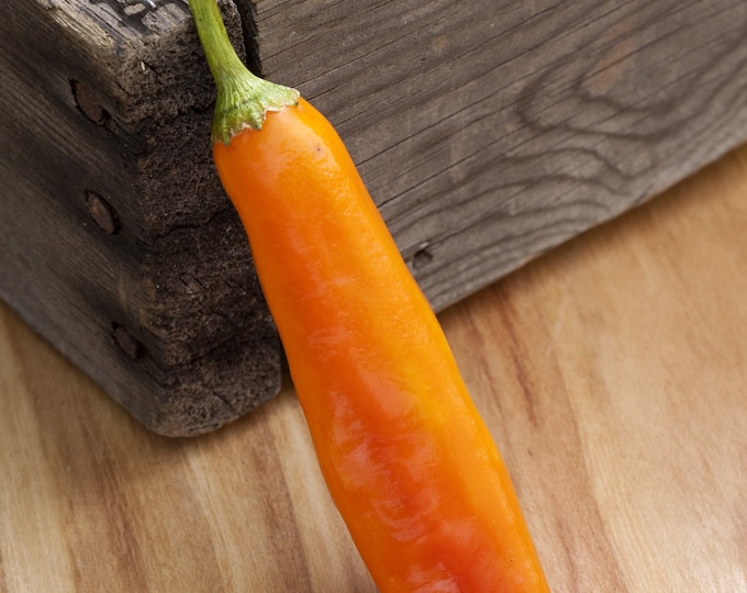 Coyote Teeth Dente Di Coyote Hot Pepper Premium Seed Packet - Etsy