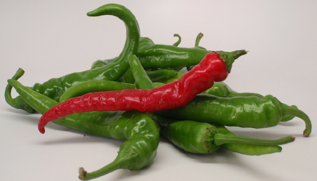 Dragons Claw Cayenne Chile Hot Pepper Premium Seed Packet - Etsy