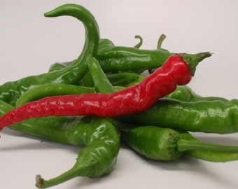 Salkim Biber Turkish Turkey Chile Hot Pepper Premium Seed - Etsy