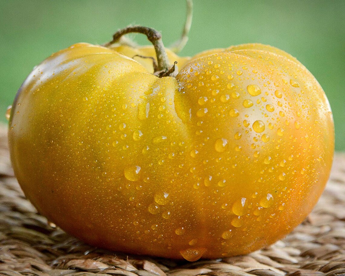 Thorburn's Terra Cotta Terracotta Heirloom Tomato Premium Seed Packet ...