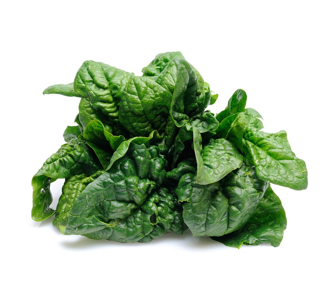 Admiral Savoy Spinach Slow Bolt Premium Seed Packet - Etsy
