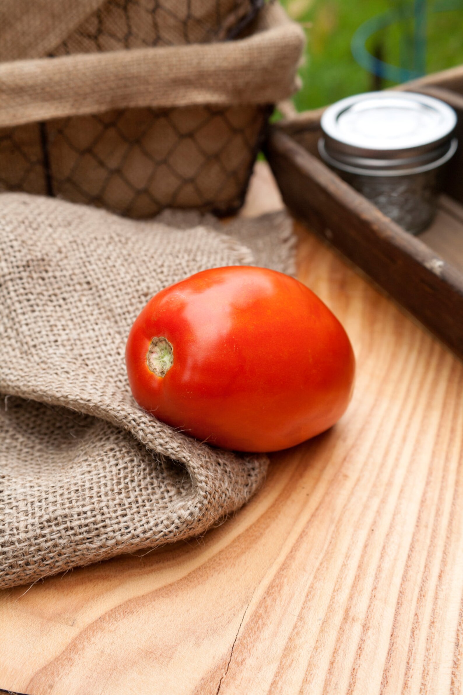 Romeo Roma Huge Italian Paste Heirloom Tomato Premium Seed Packet - Etsy