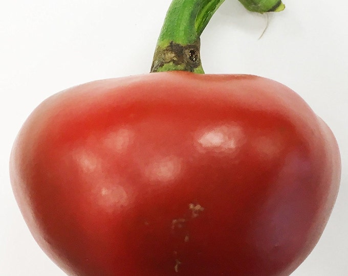 Homestead Heirloom Tomato Premium Seed Packet - Etsy