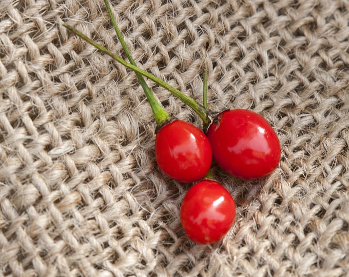 Sepia Serpent douglah X Reaper Pepper Premium Seed Packet - Etsy