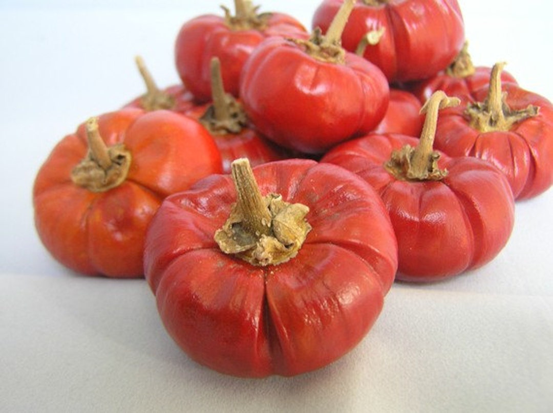 Pumpkin Pepper Ornamental Premium Seed Packet - Etsy