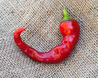 Yellow Peter Chili Willy Heirloom Pepper Premium Seed Packet | Etsy