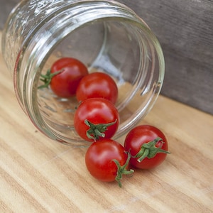 Sweet Aperitif Heirloom Cherry Tomato Premium Seed Packet - Sweetest ...
