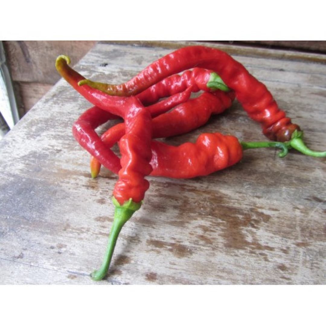 Doux Des Landes the Famous Basque Region Heirloom Pepper Premium Seed ...