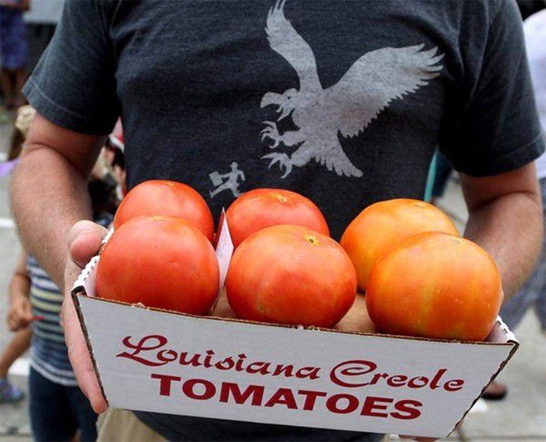 Creole Tomato the Famous New Orleans Louisiana Premium Seed Packet - Etsy