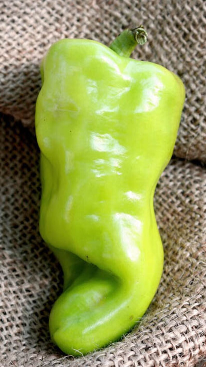 Hungarian Wax Heirloom Pepper Premium Seed Packet - Etsy