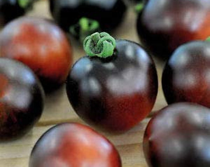 Solar Flare Heirloom Tomato Premium Seed Packet - Etsy