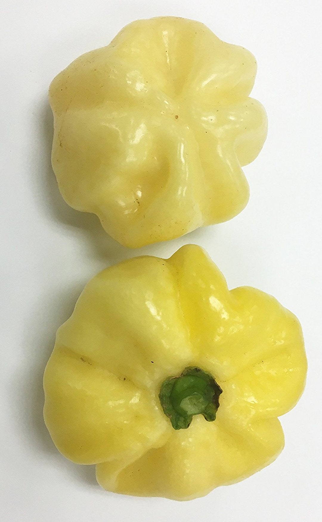 7pot White Pepper Premium Seed Packet - Etsy