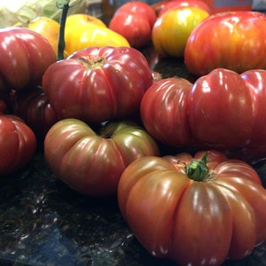 Tims Black Ruffles Heirloom Tomato Premium Seed Packet - Etsy