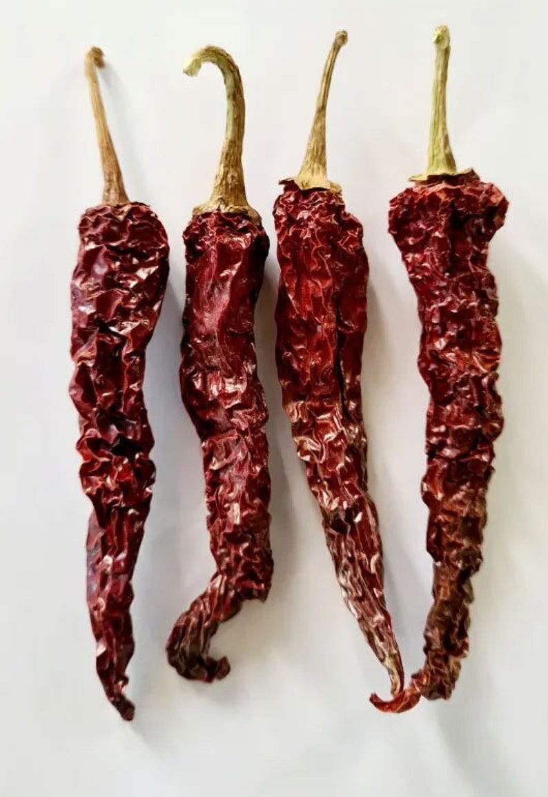 Byadgi Bedgi Chile Byadagi Chilli Pepper Premium Seed Packet - Etsy