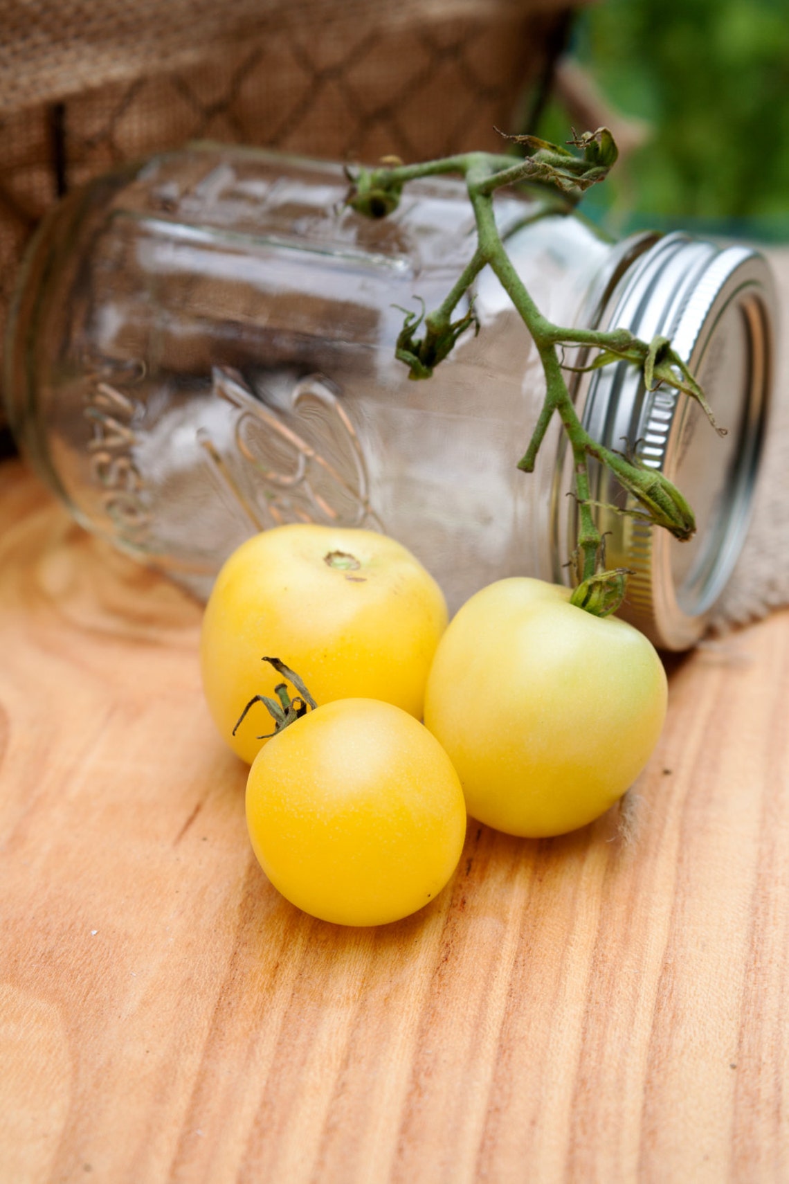 Super Snow White Heirloom Tomato Premium Seed Packet - Etsy