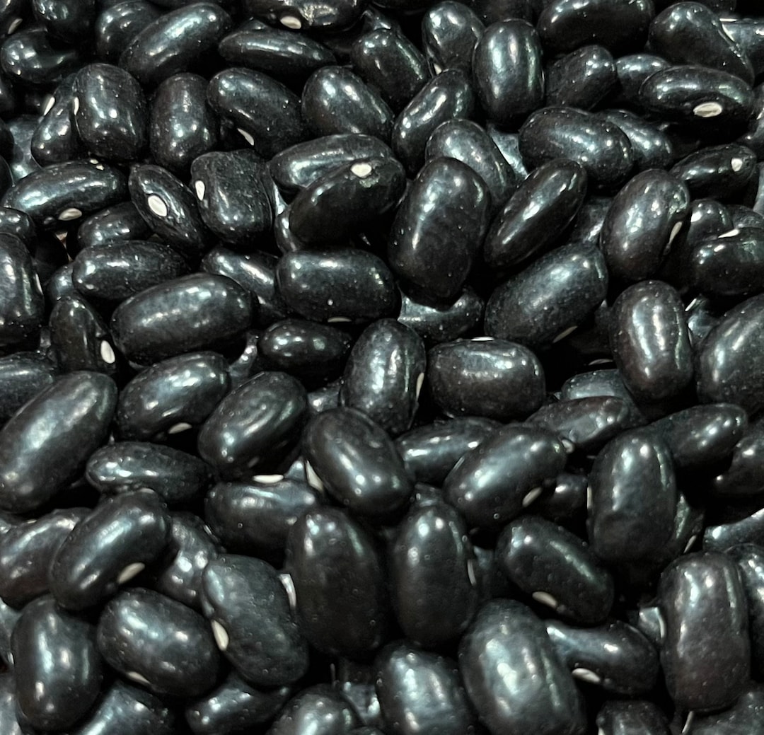 Ayocote Negro Frijoles Black Bean Heirloom Seed Packet - Etsy