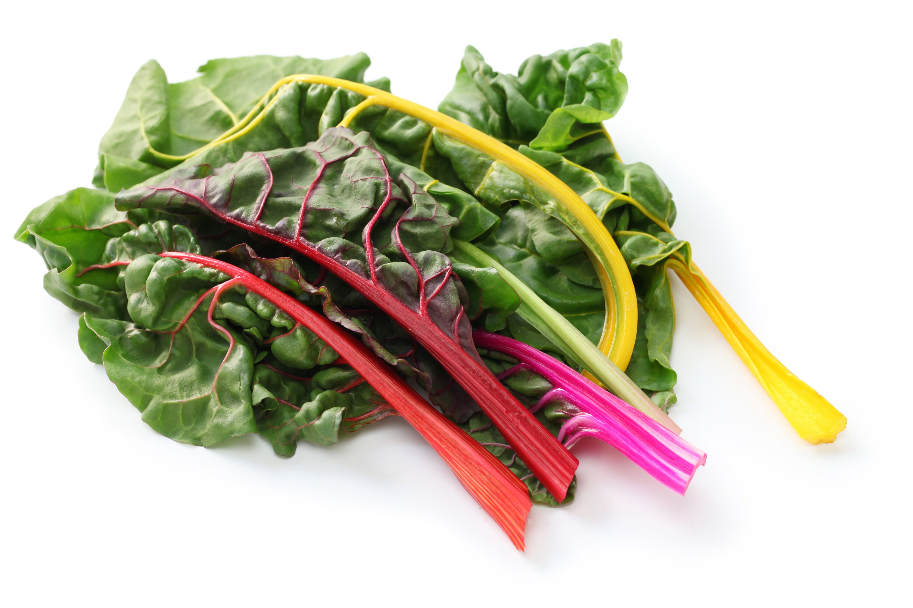 Bright Lights Swiss Chard Beet Tops Heirloom Premium Seed Packet - Etsy