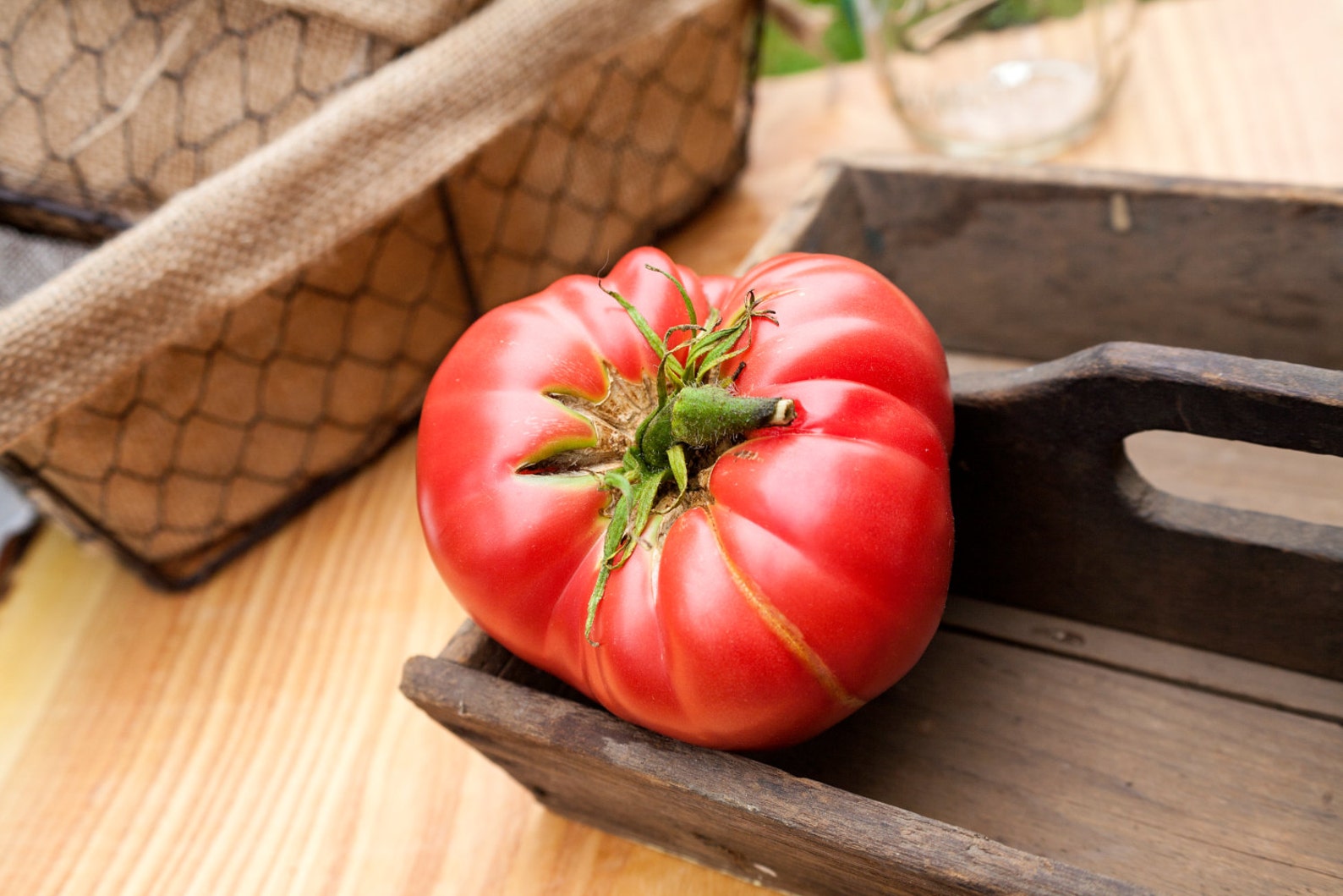 1884 Olde Timey Heirloom Tomato Premium Seed Packet - Etsy