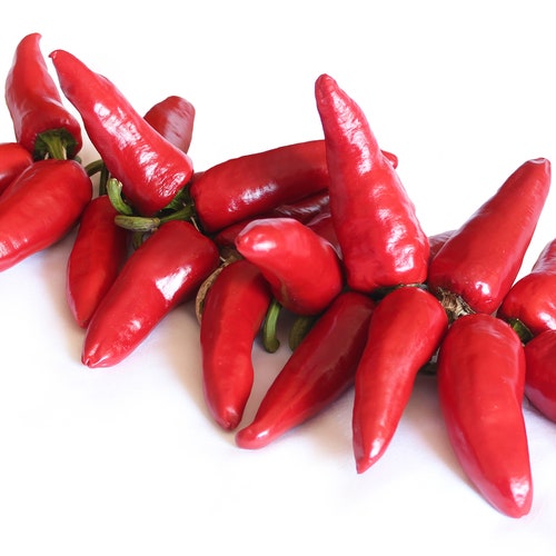 Guindilla Pepper Heirloom the Famous Basque Region Pepper - Etsy