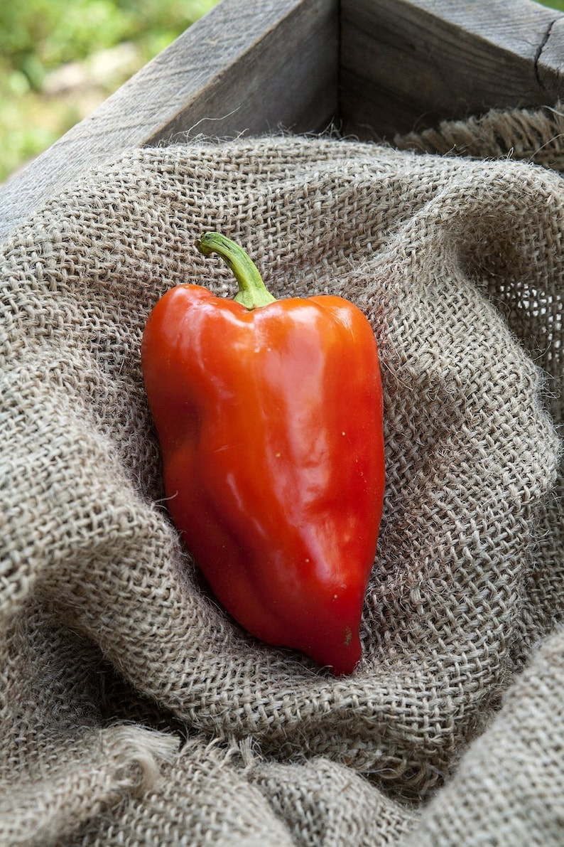 Feher Ozon Feherozon Hungarian Sweet Paprika Pepper Premium | Etsy