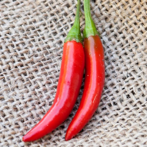 Yellow Tabasco Heirloom Hot Pepper Premium Seed Packet - Etsy