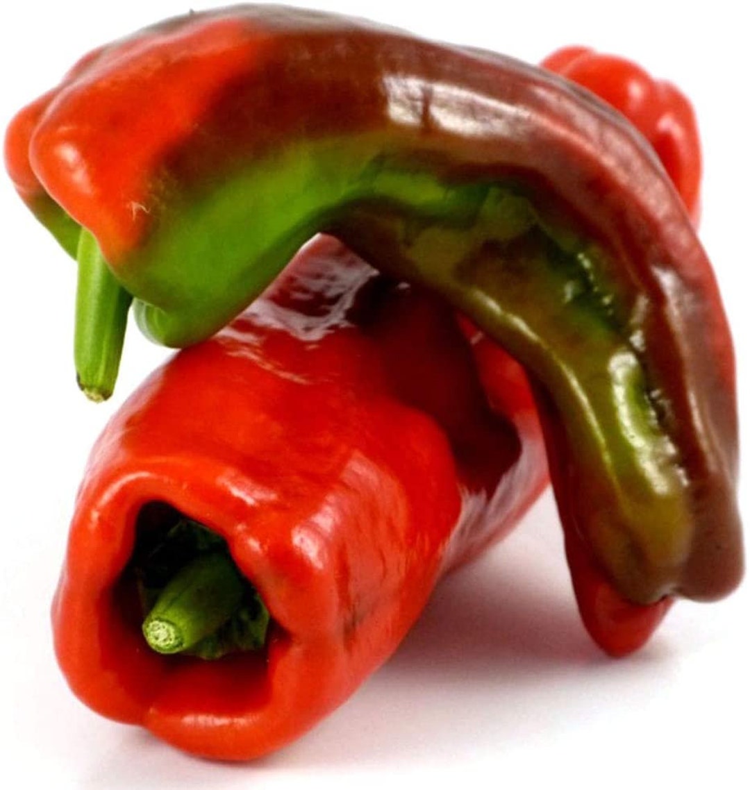 Cristal Basque Region Spanish Tapas Heirloom Pepper Premium Seed Packet ...