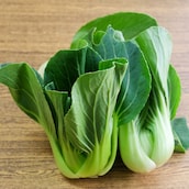Toy Choy Baby Pak Choy Stir Fry Heirloom Premium Seed Packet - Etsy