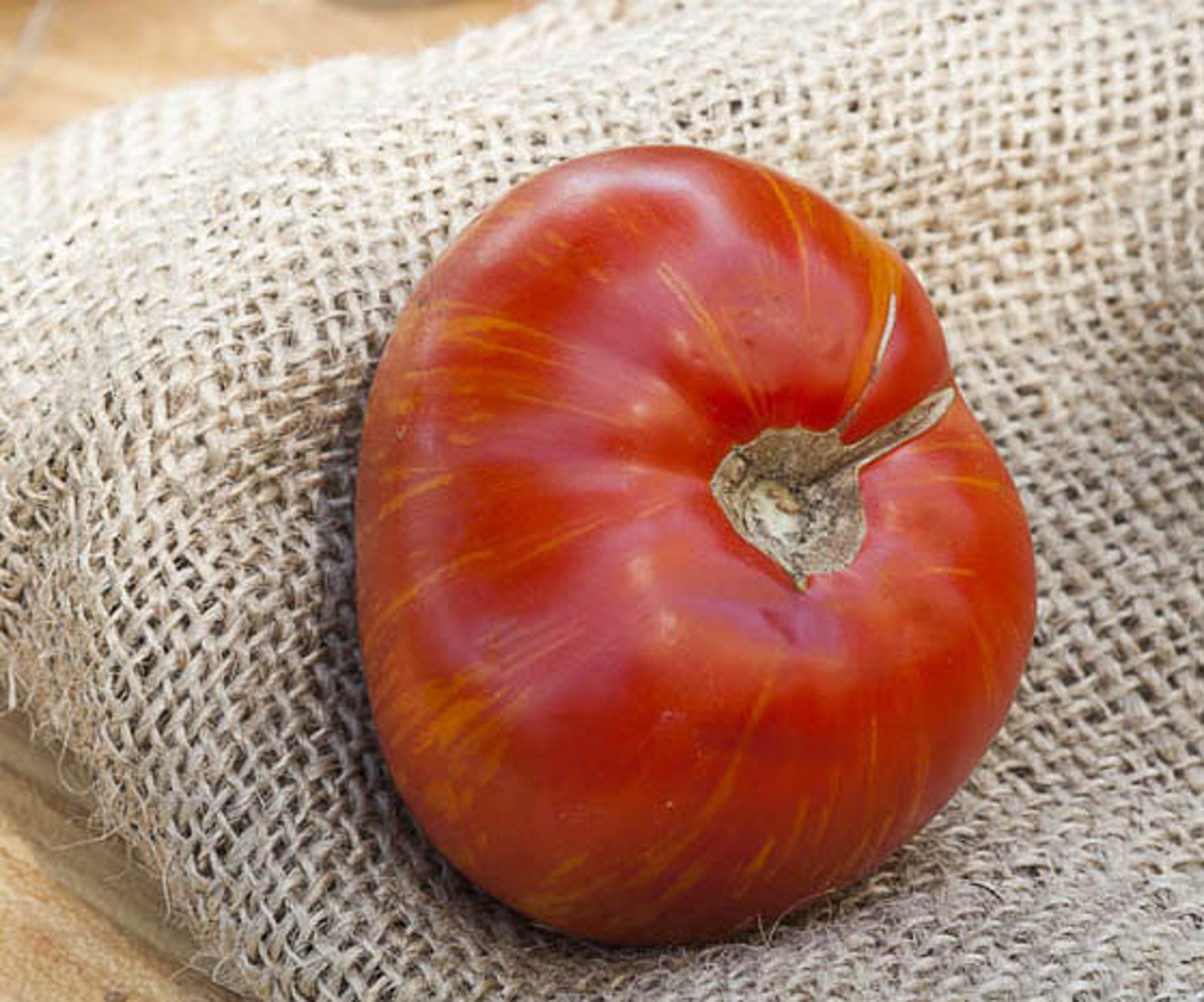 Solar Flare Heirloom Tomato Premium Seed Packet - Etsy