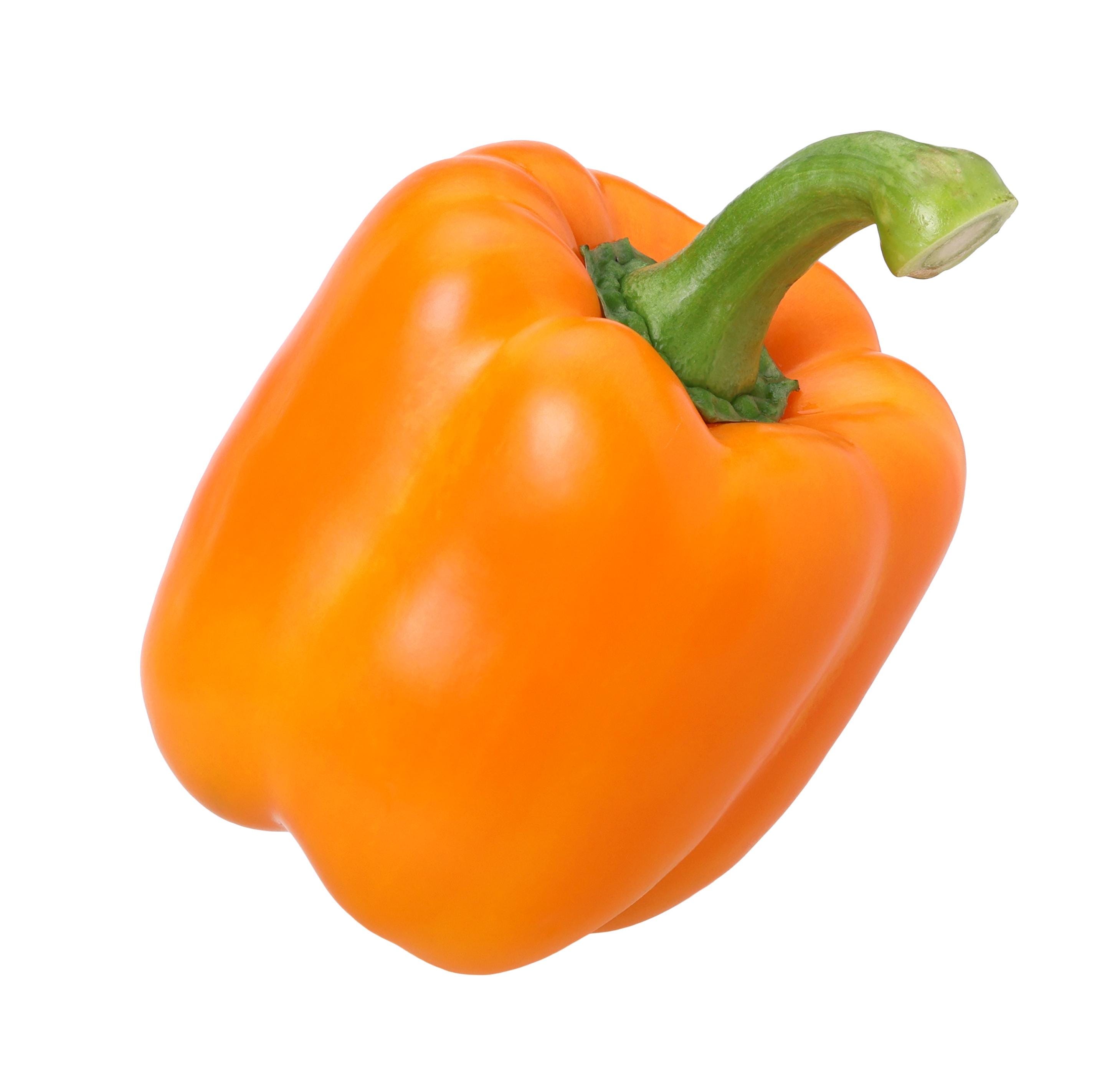Muscato Orange Bell Pepper Premium Seed Packet - Etsy