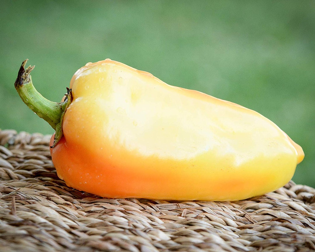 Ferenc Tender Paprika Heirloom Pepper Premium Seed Packet - Etsy