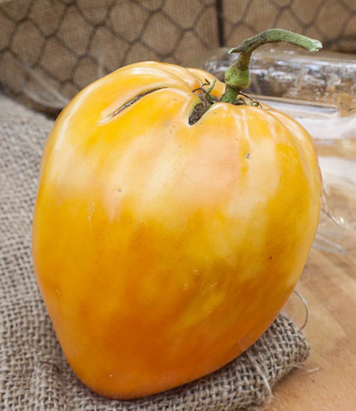 Orange Oxheart Heirloom Tomato Premium Seed Packet - Etsy
